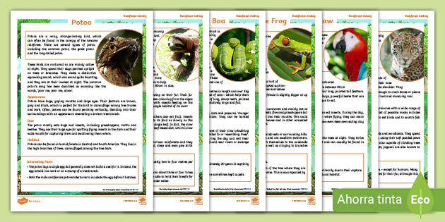 Hojas informativas: Los animales de la selva (teacher made)