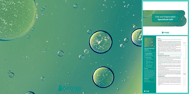 Specialised Cells and their Functions | Biology | Beyond