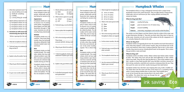Differentiated Humpback Whale Worksheets
