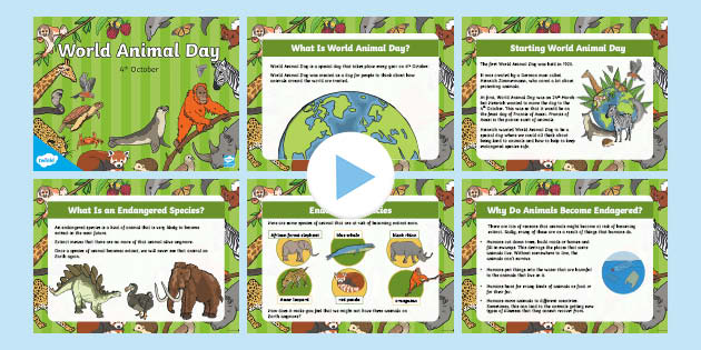 KS1 World Animal Day PowerPoint (creat de profesori)