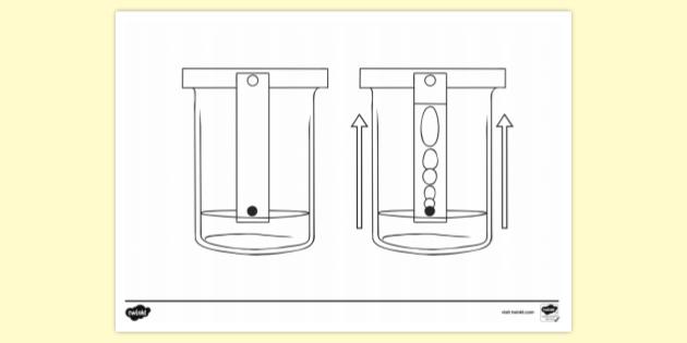 Chromatography Colouring Sheet | Colouring Sheets