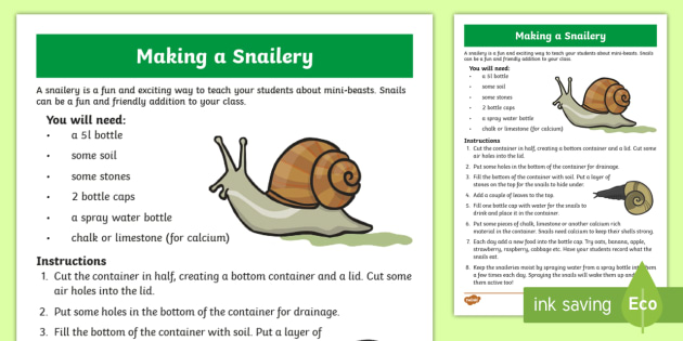Making a Snailery Instructions Activity (teacher made)