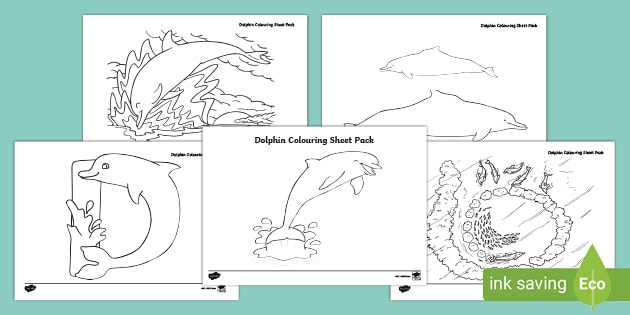 FREE! - Dolphin Template Resource Pack | Colouring Pages