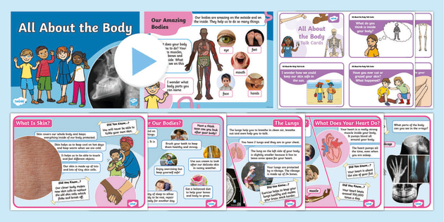 All About the Body Information Pack | Twinkl (teacher made)