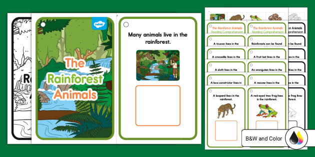 Jungle Animals Reading