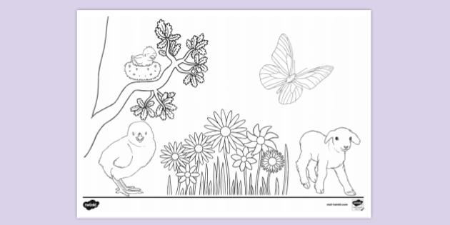Spring Themed Colouring Page | Colouring Sheets
