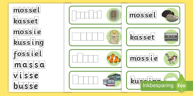 Bou Woorde Met Dubbel Konsonante -ss en -tt Woordkaarte
