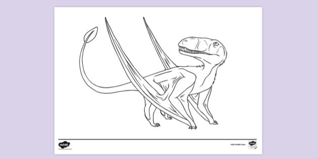 FREE! - Dimorphodon Colouring Sheet (teacher made)