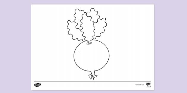FREE! - Large Turnip Colouring Sheet - KS1 (teacher made)