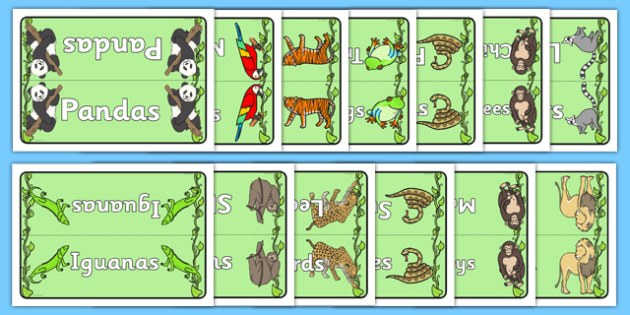 Editable Group Table Signs (Jungle & Rainforest) - Group signs