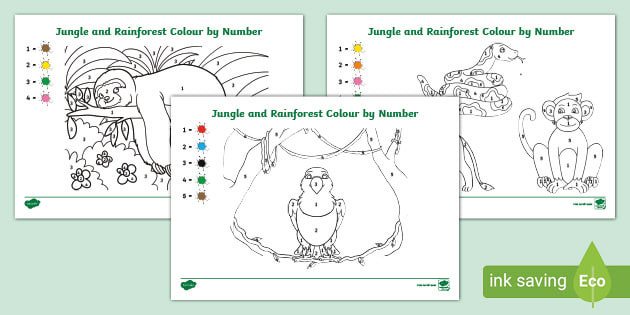 👉 Kindergarten Jungle and Rainforest Colour by Number