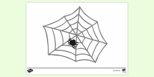 FREE! - Cobweb Colouring | Colouring Sheet (teacher made)