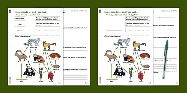 Interdependence Sciences | twinkl.com.au