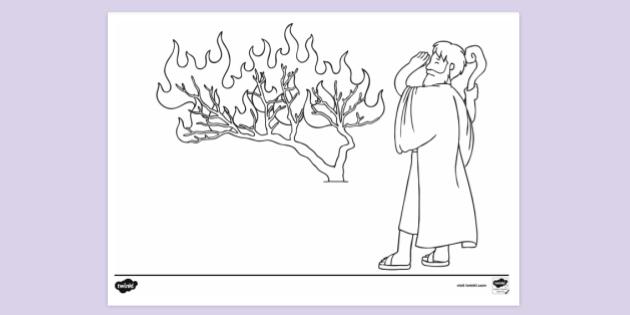 FREE! - Burning Bush Colouring | Colouring Sheet