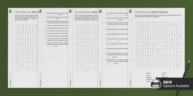 Grassland Wordsearch Words Word Search Grassland Biome