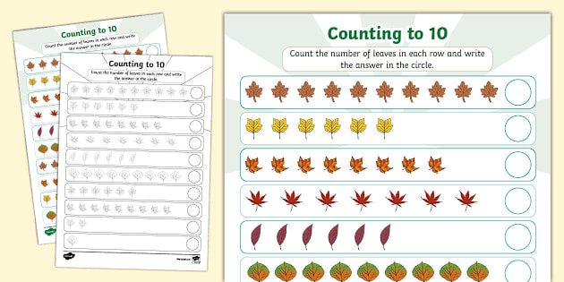 Counting Activities | twinkl.co.uk