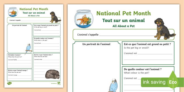 👉 French: National Pet Month - All About a Pet Worksheet KS2