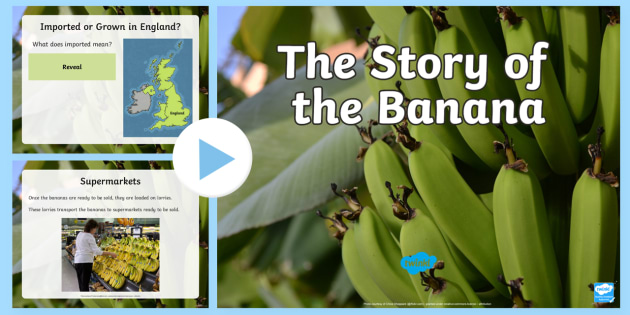 The Story of the Banana PowerPoint (teacher made)