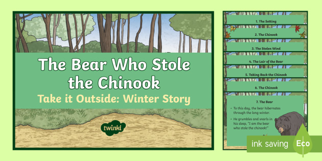 The Bear Who Stole the Chinook Story Cards (teacher made)
