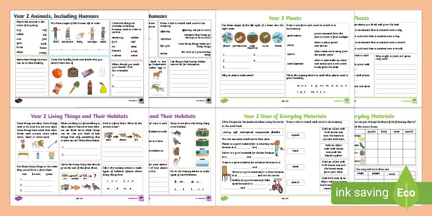 Year 2 Science Revision Activity Mat Pack (teacher made)