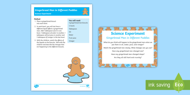 Gingerbread Man in Different Puddles Science Experiment and Prompt Card ...