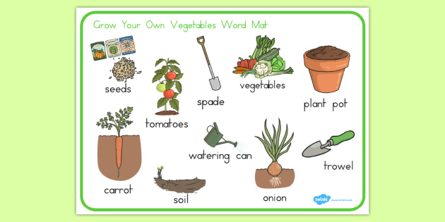 Grow Your Own Vegetables Word Mat - vegetable, food, healthy