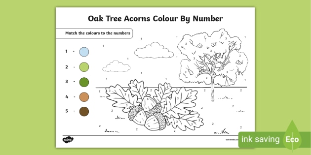 FREE! - Oak Tree Acorns Colour by Number (teacher made)
