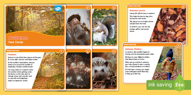 EYFS Autumn Fact Cards