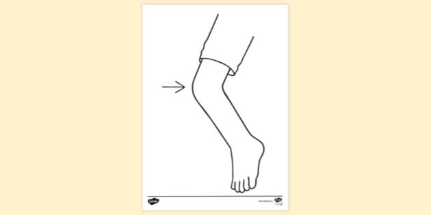 FREE! - Child's Knee Colouring | Colouring Sheets