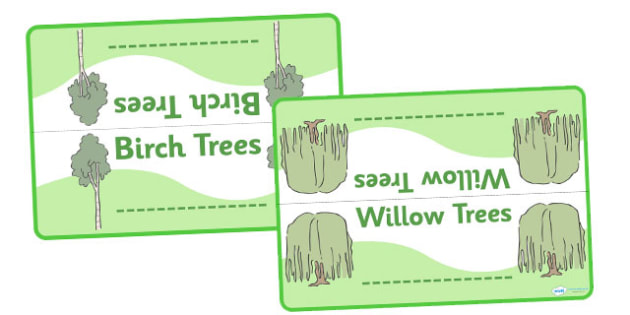 👉 Editable Class Group Table Signs (Trees)