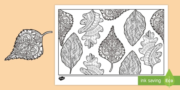 Autumn Leaves Mindfulness Colouring - Wellbeing - The Seasons
