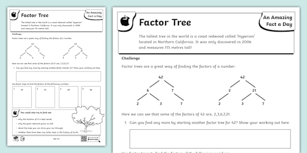 Factor Tree Templates
