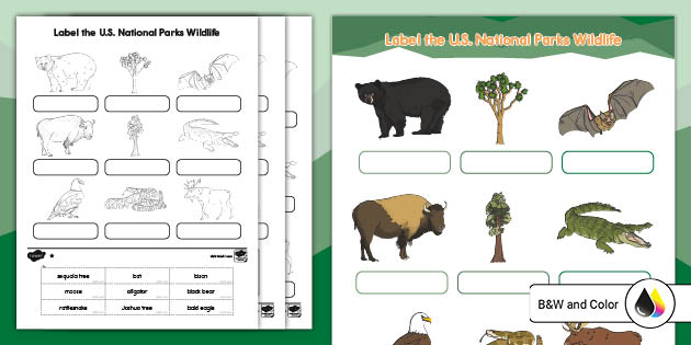 Label the U.S. National Parks Wildlife Differentiated