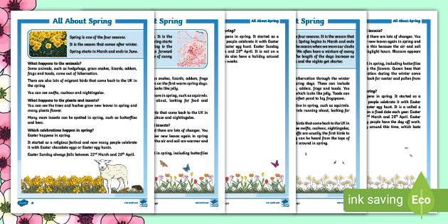 Spring Differentiated Reading Comprehension Worksheets - Twinkl