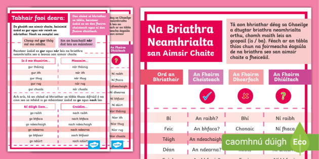 Briathra Neamhrialta san Aimsir Chaite Póstaeir | Twinkl