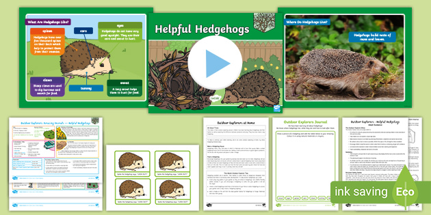 Outdoor Explorers KS1 Spring Lesson 4 Helpful Hedgehogs