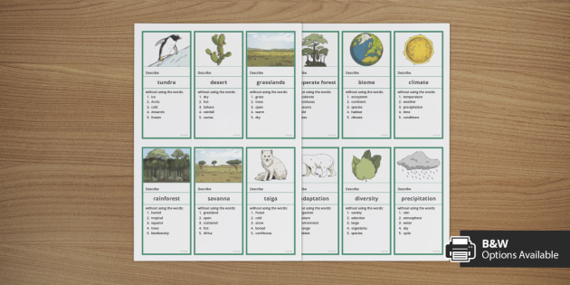 Biomes Can You Guess? Activity Cards – Beyond Science