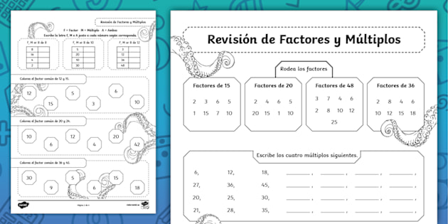 Factores En Matemáticas Conceptos Básicos De álgebra Y Reducción