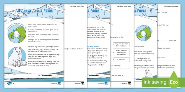 KS1 Arctic Foxes Differentiated Reading Comprehension