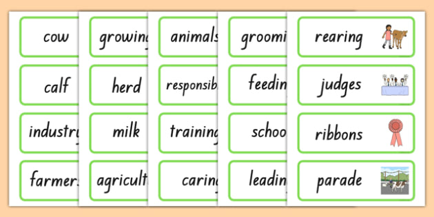 Calf Club Word Cards (teacher made)