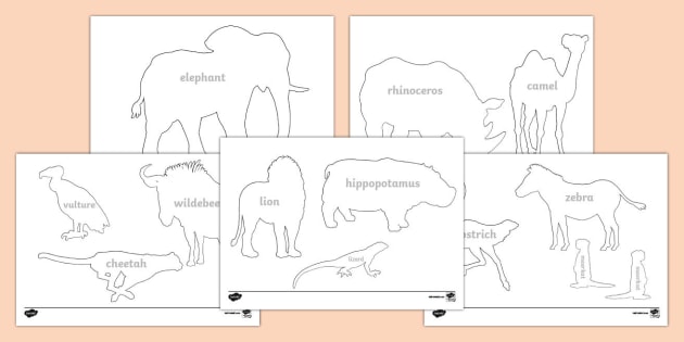 Coloring Zoo Template