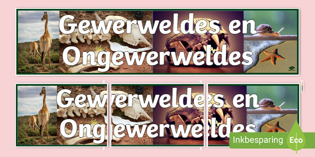 Gewerweldes en Ongewerweldes Vertoonbanier (teacher made)
