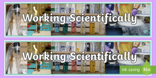 Working Scientifically Photo Display Banner (teacher made)