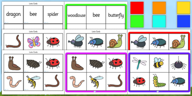 Minibeast Bingo Lotto Game Pack - minibeasts, minibeast bingo