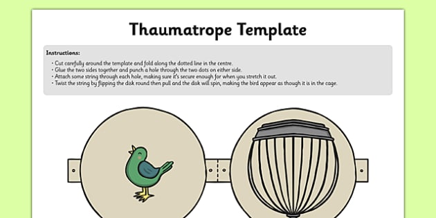 Bird in Cage Thaumatrope (teacher made)