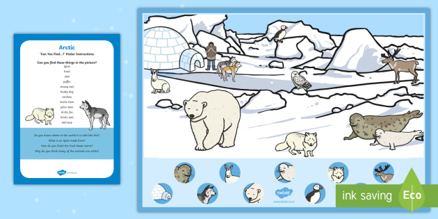 Arctic Can You Find Poster And Prompt Card Pack