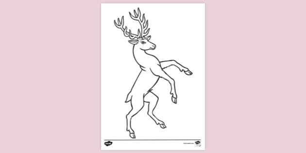 FREE! - Rampant Red Deer Colouring | Colouring Sheets