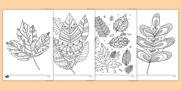 Autumn Mindfulness Colouring | Art Lesson | Primary Resource