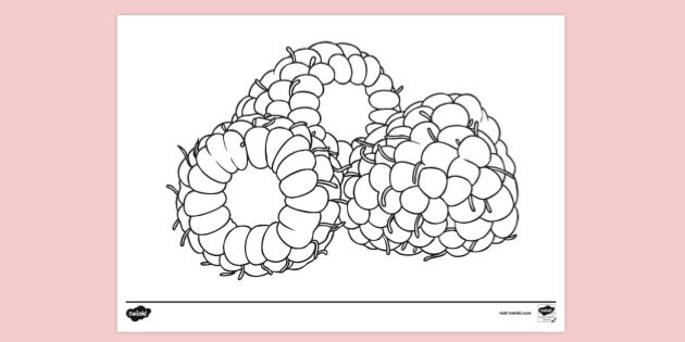 FREE! - Raspberry Colouring Sheet - Primary School - Twinkl