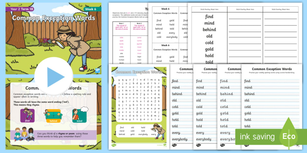 Year 2 Term 1B Week 6 Spelling Pack (teacher made)